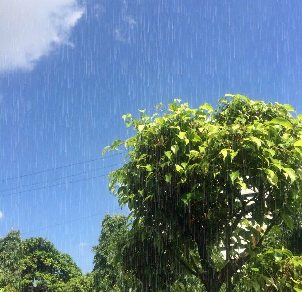 Sunny but Raining—Ikinakasal nga ba ang Tikbalang? – PanahonTV